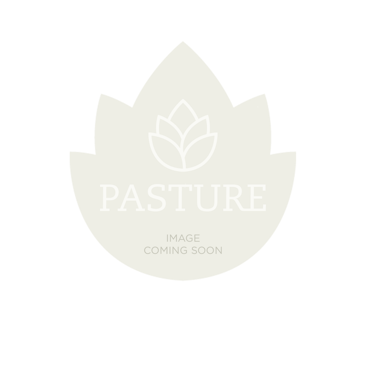 Anti Viral Hand Wash Refill Pouch 2.5Ltr – Pasture Naturals